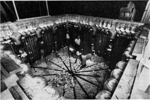The Rat Utopia Experiments That Predicted Humanity’s Dark Future ...